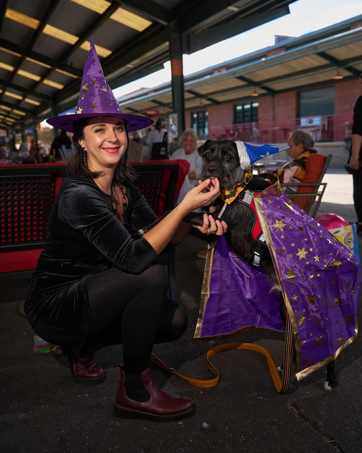 CWV | Fall Festival & Events Guide | Charleston WV